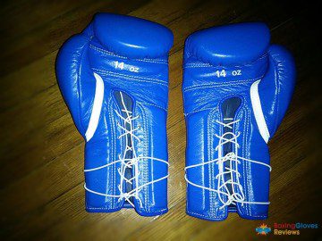 Top 10 Boxing Gloves : Best Brands of 2022 rated and reviewed